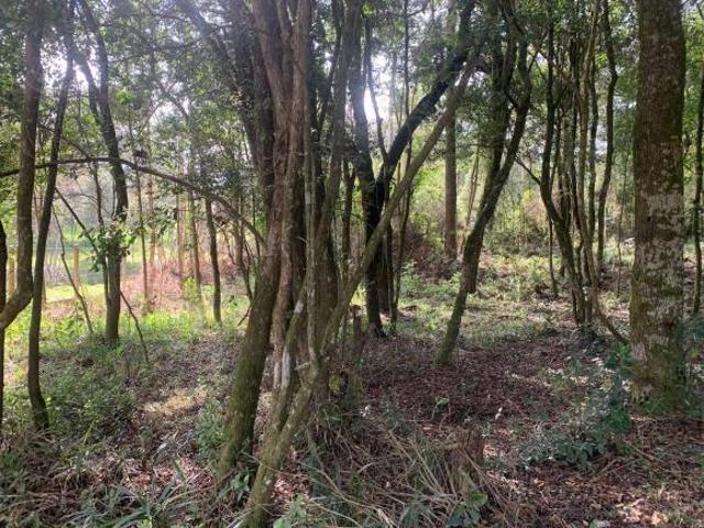 Terreno à venda, Colonia Marcelino, São José dos Pinhais, PR