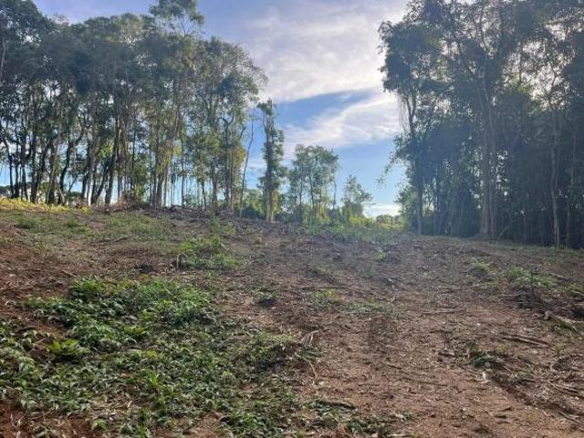 Terreno à venda, Colonia Marcelino, São José dos Pinhais, PR