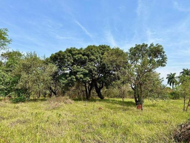Terreno à venda, com ótima topografia, 1.000 m², excelente para voce ter sua chacará de veraneio, Re