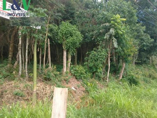 Terreno à venda com ótima topografia