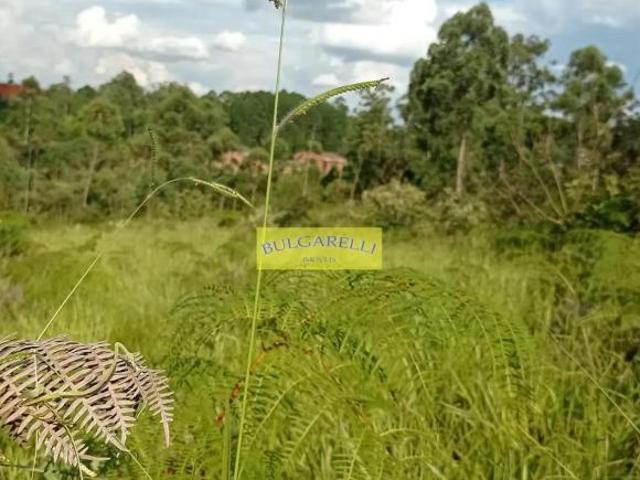 Terreno à venda Com Boa Topografia e Ótima Localização, Bairro Caxambu Região de Chacaras Conhecido