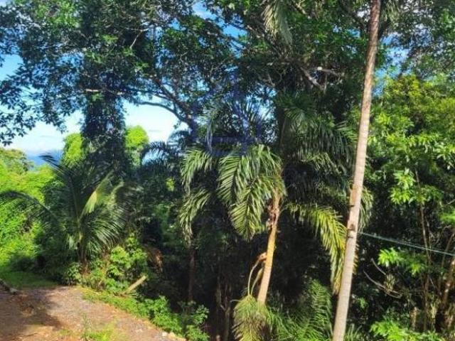 TERRENO À VENDA COM POUCO DECLIVE, ESCRITURA DEFINITIVA NA FEITICEIRA EM ILHABELA SP