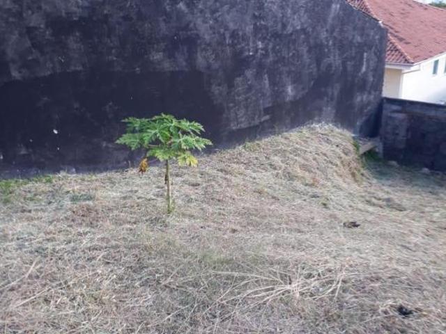 Terreno a venda com 14 x 22 m em declive, área de 308 m² Cidade São Francisco