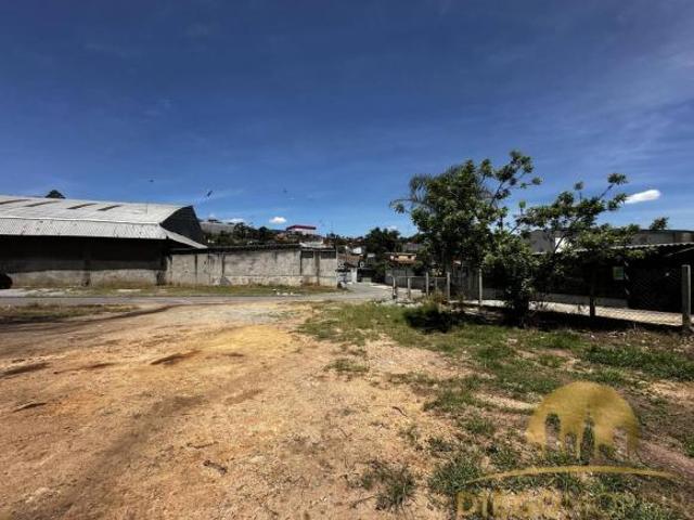 TERRENO À VENDA COM 1.172 M² EM TERRA PRETA