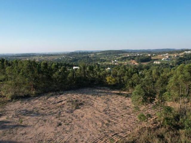Terreno à venda com 2440 m² no Loteamento Residencial Parque Terras de Santa Cec