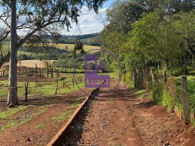 Terreno a venda com 26 mil m2