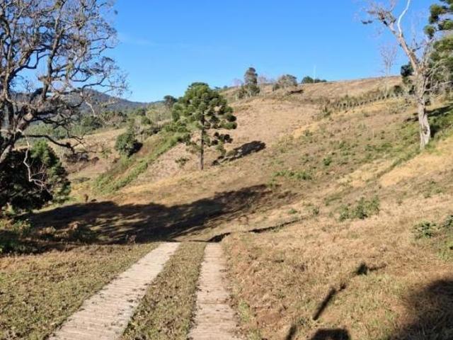 Terreno à venda com 22.000 m2 em Gonçalves MG