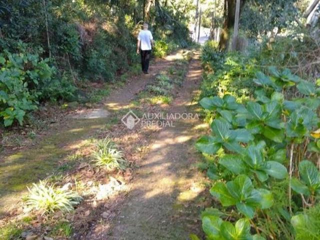 Terreno à venda com 2 casas de alvenaria na Avenida Professor Oscar Pereira