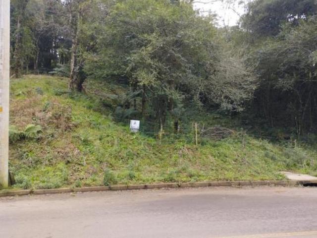 Terreno à venda com 612,80 m² – Bairro Vila Maggi, Canela/RS