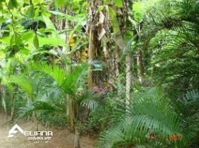 Terreno à Venda com 6.500 m² Bairro Barra Funda Guarujá
