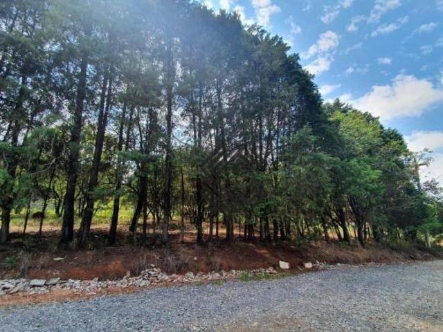 Terreno à venda com 765,00 m² e excelente localização em Araçoiaba da Serra/SP
