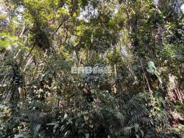 Terreno à venda com 70% de aprovação