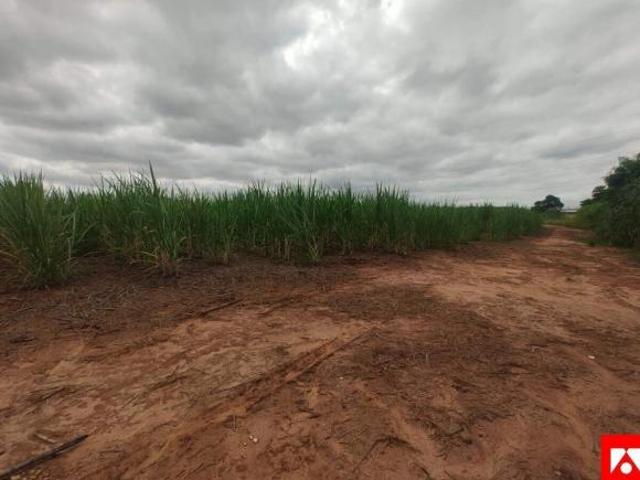 Terreno à venda com 87.488,87 m² no Caiubí em Santa Bárbara d&apos Oeste
