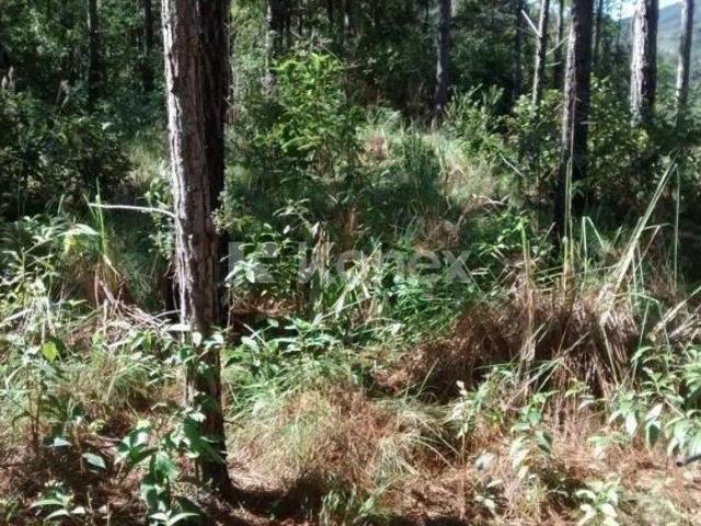 Terreno à venda com 897 m² em Jardim Glória, Miracatu