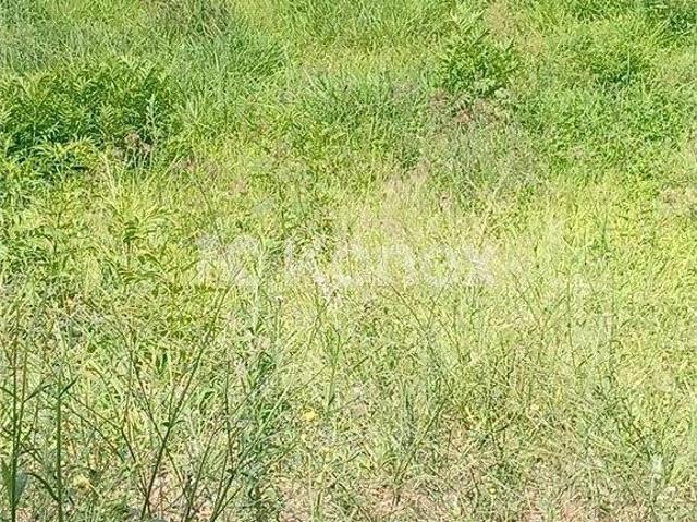 Terreno à venda com 800 m² em Taboão, São Bernardo do Campo