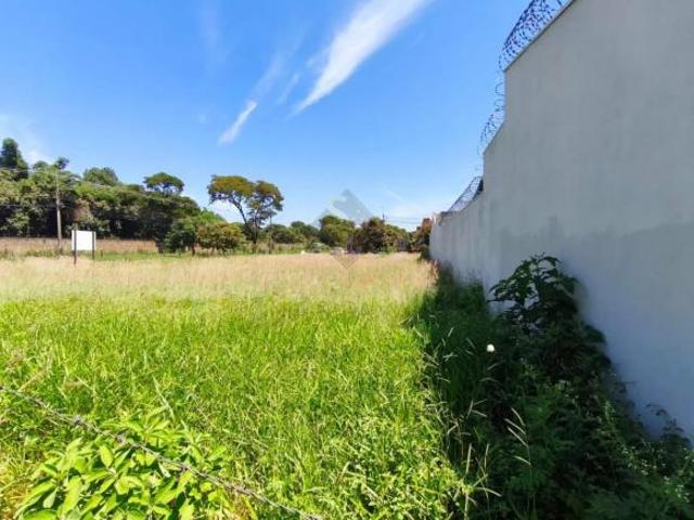 Terreno à venda com 838,00m² no Bairro Jardim Ângelo Jurca, Em Ribeirão Preto/SP