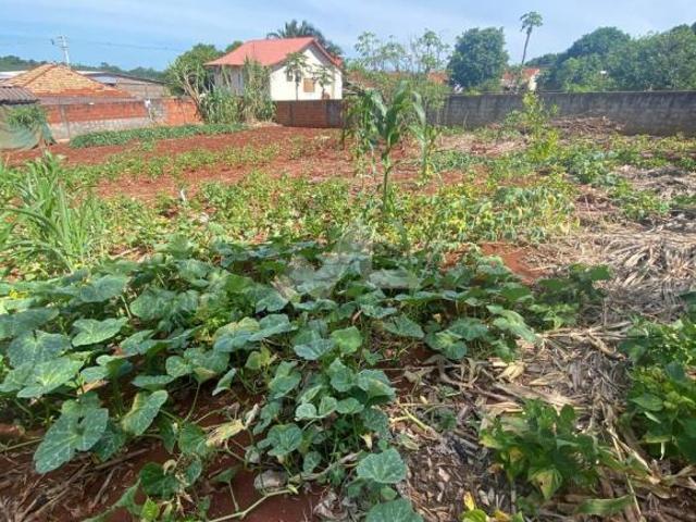 Terreno à venda, Concórdia do Oeste, 1.000 metros, 25x40 TOLEDO PR