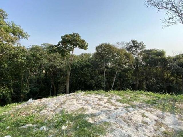 Terreno à venda Cond. Fazendinha Granja Viana