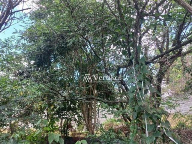 Terreno à venda Cond. São Paulo II na Granja Viana