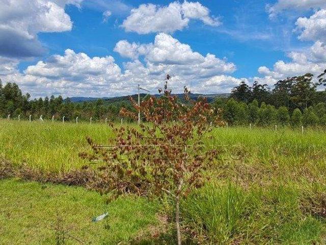 TERRENO A VENDA CONDOMÍNIO VIVALEGRO