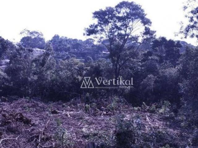 Terreno à venda Condomínio Jardim Mediterrâneo na Granja Viana
