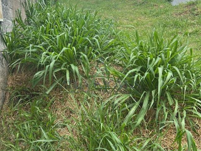 Terreno à Venda – Condomínio Nova Jaguari