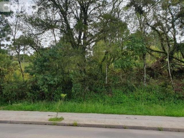 Terreno à venda Canelinha Canela/RS