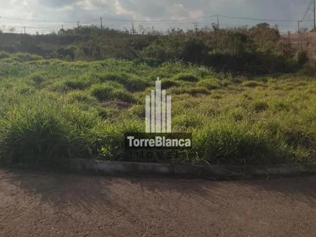 Terreno à venda, Cará cará, Ponta Grossa, PR