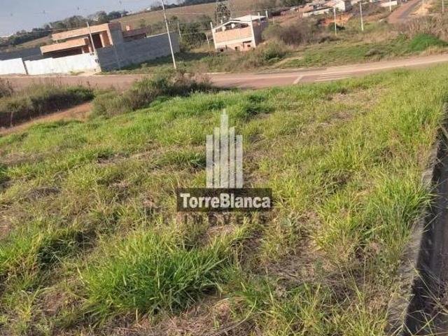 Terreno à venda, Cará cará, Ponta Grossa, PR