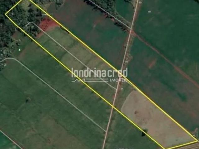 Terreno à venda, Centro, Arapongas, PR