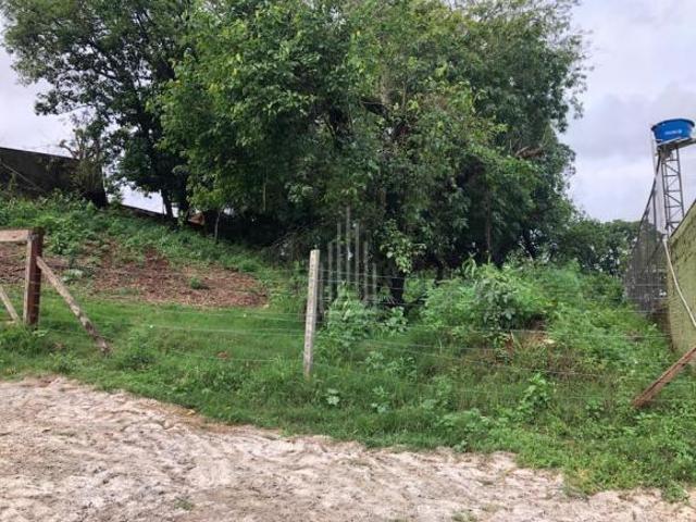 Terreno à venda, Centro Foz do Iguaçu/PR