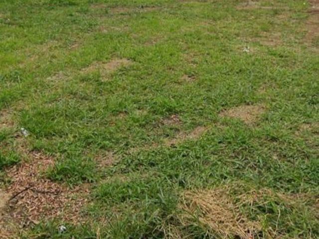Terreno à venda, Centro, Pindamonhangaba, SP