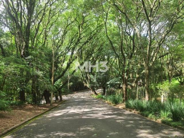 Terreno à venda, cerca de 1.650m², aclive, no Cond. Morada das Nascentes, Joaqui