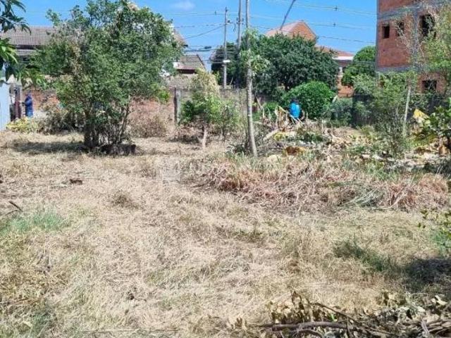 Terreno a venda Chácara Primavera Campinas/SP