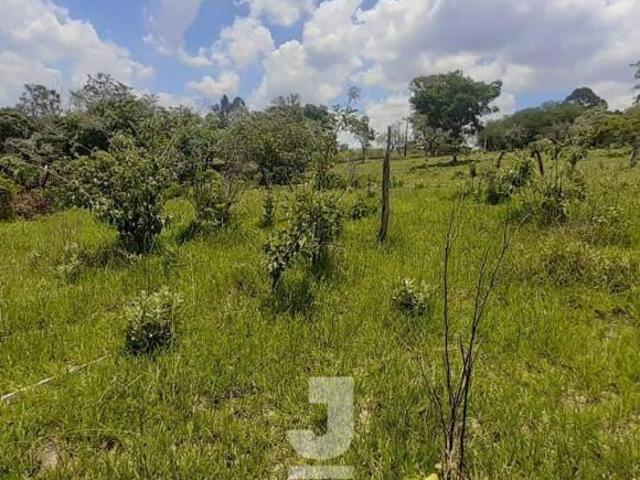 Terreno à Venda Chácara Santa Margarida, Campinas 1.000m2
