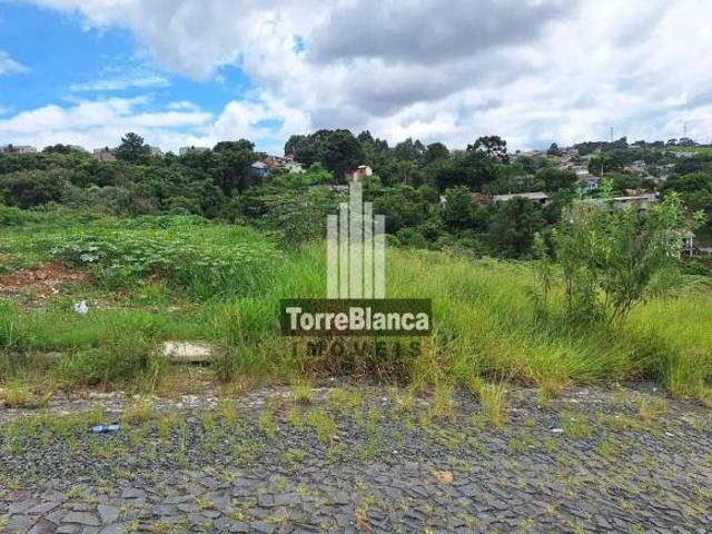 Terreno à venda, Chapada, Ponta Grossa, PR