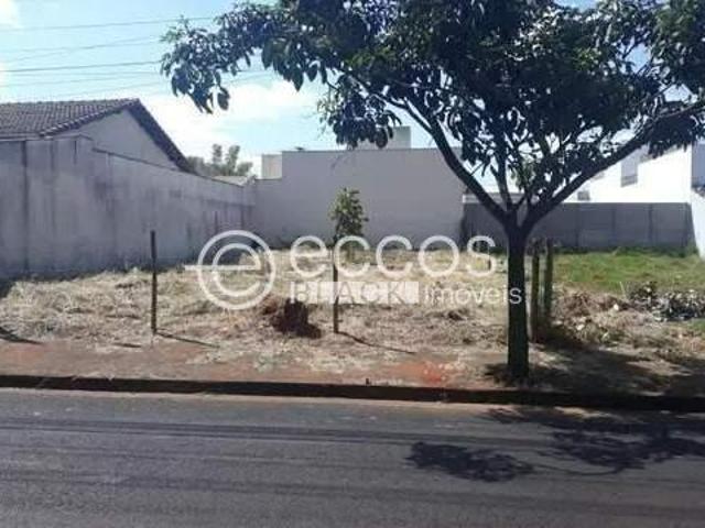 Terreno à venda, Alto Umuarama Uberlândia/MG