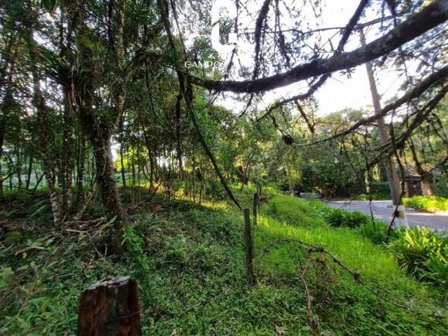 Terreno à venda, Alto do Capivari, Campos do Jordão, SP