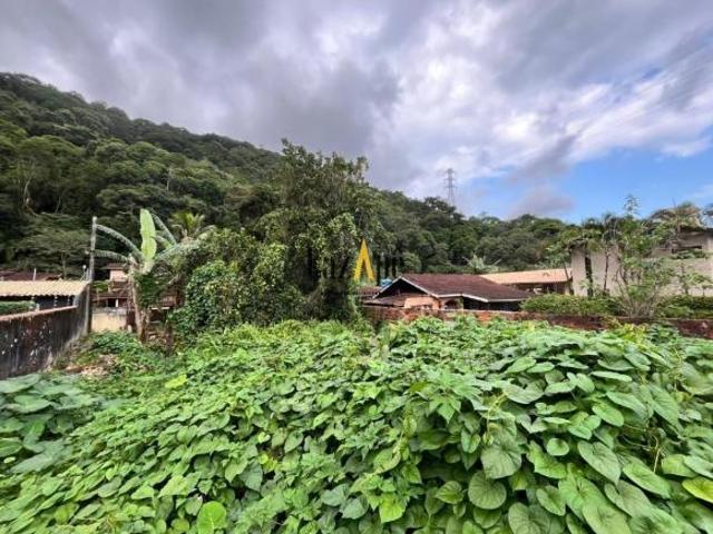 Terreno à Venda área nobre na Praia de Maresias