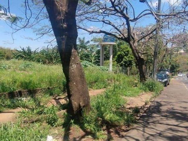 TERRENO A VENDA AV NILDO RIBEIRO DA ROCHA, MARINGA PR