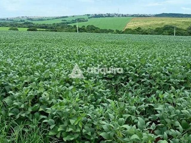 Terreno à venda, Boa Vista, Ponta Grossa, PR