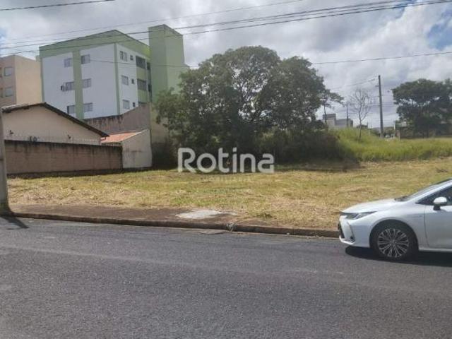 Terreno à venda, Bosque dos Buritis Uberlândia/MG Rotina Imobiliária