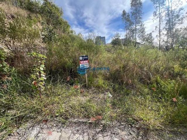 Terreno a venda bairro Nossa Senhora das Graças
