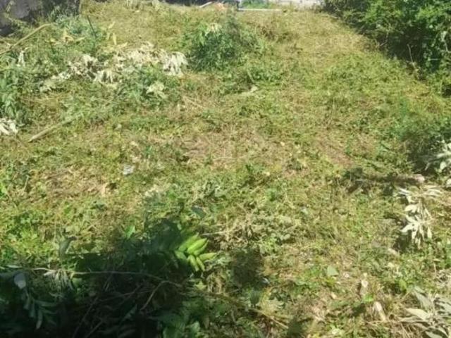 Terreno a venda Bairro Agronomia