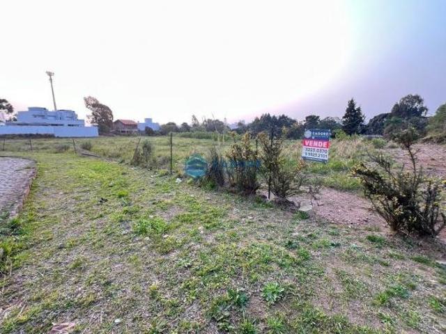 Terreno a venda bairro Bela Vista com 390m²