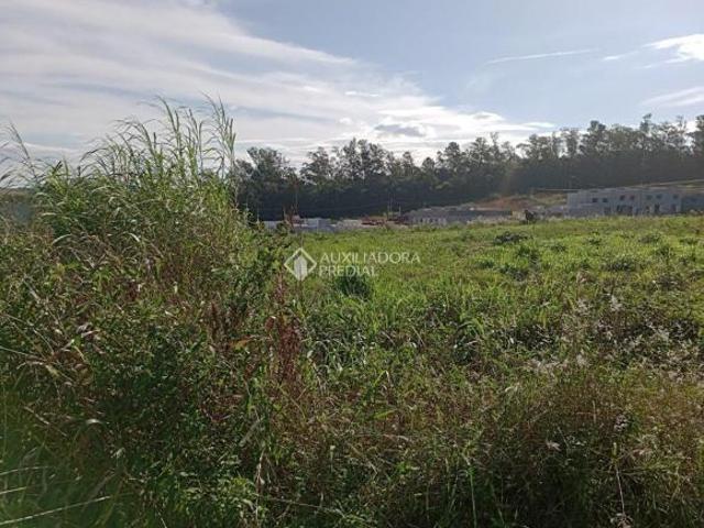Terreno a venda Bairro Conventos Lajeado/RS