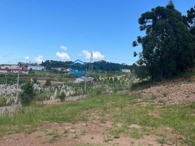 Terreno a venda bairro São Ciro com 360m²