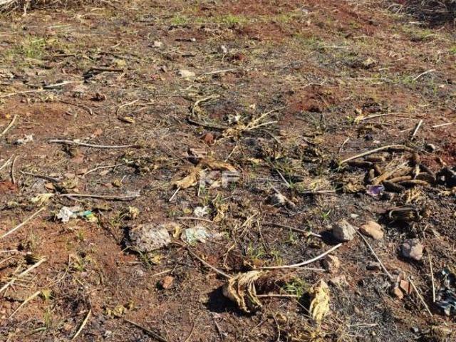 Terreno a Venda Bairro São Lucas Jardinópolis SP