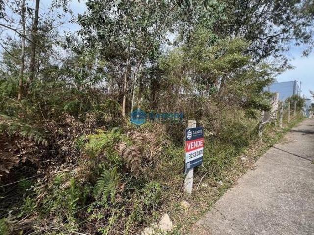 Terreno a venda bairro Sanvitto com 720m²