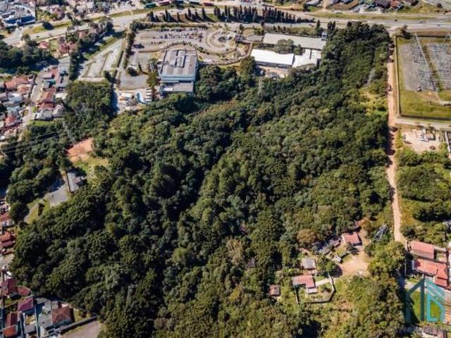 Terreno a venda bem localizado, com 11.600 m², no Abranches em Curitiba PR